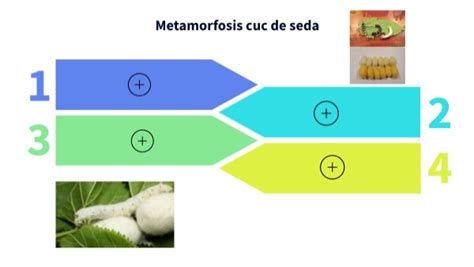 Numbers Diagram Genially
