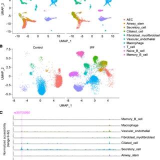 Integrated Single Nucleus Sequencing Reveals Promiscuous Chromatin Download Scientific Diagram