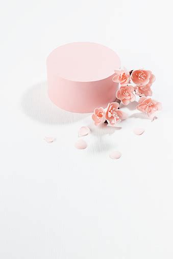 발렌타인 데이 무대 모형은 분홍색 실린더 연단과 부드러운 사쿠라 꽃의 나뭇 가지 프레젠테이션 화장품 상품 브랜딩 수직을 위해