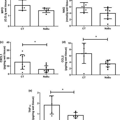 Effects Of Oral Administration Of Sodium Butyrate Nabu On
