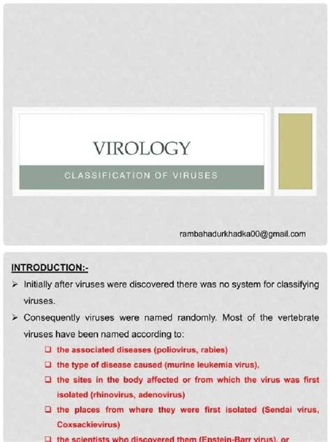 6 Virus Classification Pdf