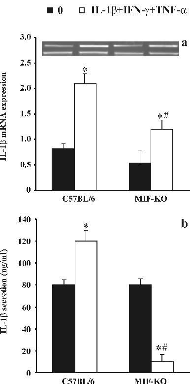 Mif Absence Affects Il 1β Generation Pancreatic Islets From C57bl 6 Or