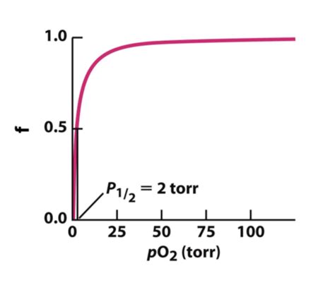 Lecture 12 Myoglobin And Hemoglobin Flashcards Quizlet
