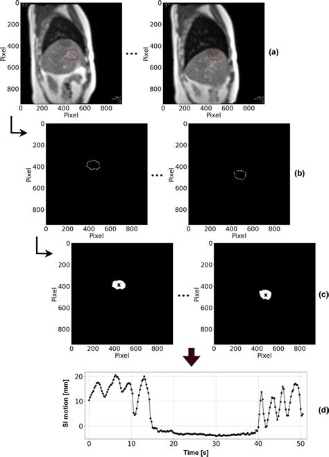 steps of centroid motion extraction from the frames of the exported