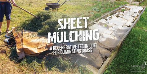 Sheet Mulching Garden Culture Magazine