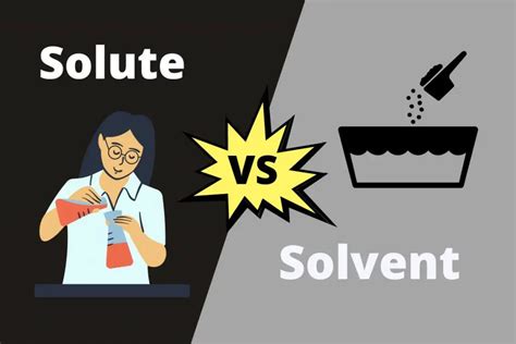 Solute Vs Solvent Contrasthub