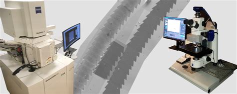 Cellular 3d Volume Correlative Array Tomography Cat Workshop Scilifelab Gothenburg