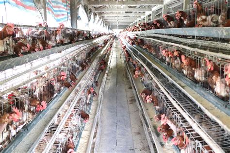 ກອງທຶນສົ່ງເສີມຈຸນລະວິສາຫະກິດ ວິສາຫະກິດຂະໜາດນ້ອຍ ແລະ ກາງ