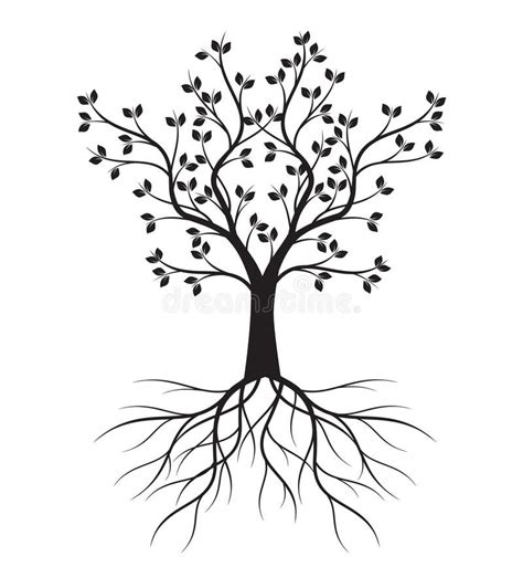 Shape Of Black Tree With Leaves And Roots Vector Outline Illustration