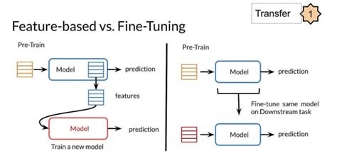 Fine Tune Models For Data Extraction And Document Parsing By Codehustle Fiverr