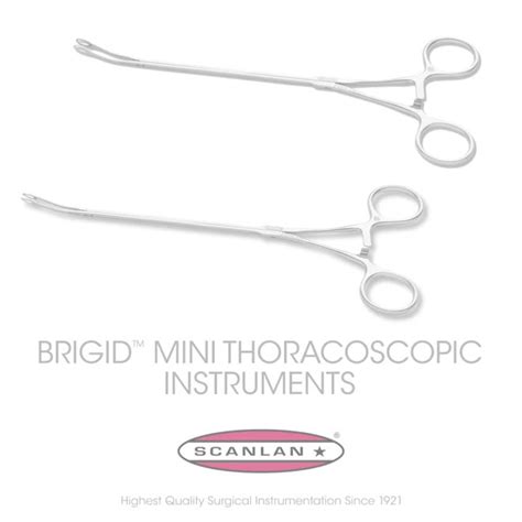 Scanlan International Inc On Linkedin Thoracicsurgery Thoracicsurgeon Vats Minimallyinvasive…