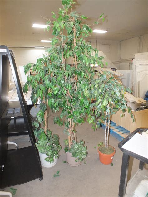 3 Fake Trees And 1 Fake Plant
