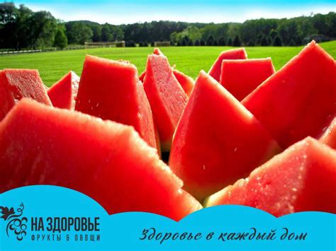 НаЗдоровье 🍉🍉🍉 Сочные и ароматные большие и маленькие арбузы в самом уютном магазине фруктов