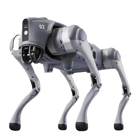 Best Ai Dog Suppliers Uae Advanced Robotic Dog Solutions