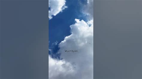 حبيب القلب Youtube