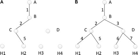 frontiers a two layered shared tree multicast routing algorithm for software defined hybrid