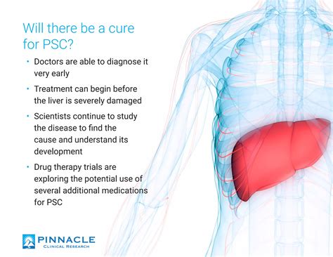 Primary Sclerosing Cholangitis Psc Pdf