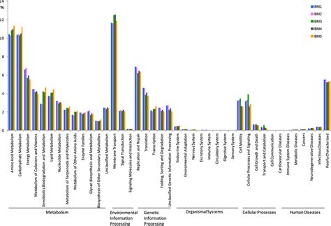 Picrust Analysis Of Predicted Metagenomes Generated By Using The