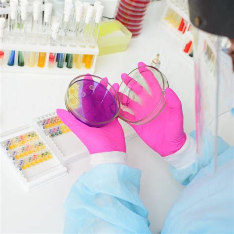 What Is Biotechnology Types Examples And Applications • Biotech Health X