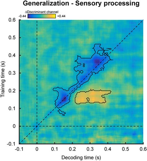 Comparison Of The Temporal Generalization Matrices Depicting Sensory