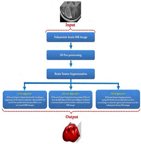 General Diagram Of Developed Segmentation Tools For Segmenting 3d Brain