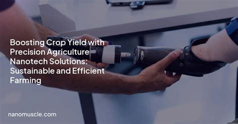 Boosting Crop Yield With Precision Agriculture Nanotech Solutions