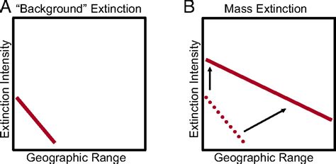 Extinction And The Spatial Dynamics Of Biodiversity Pnas