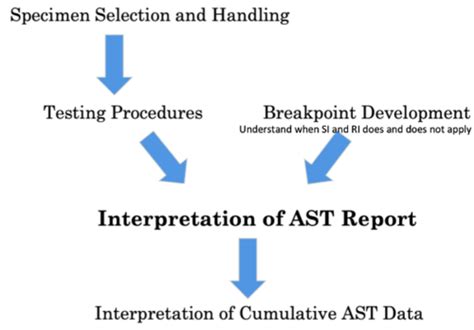 Lc09 Antimicrobial Susceptibility Testing Flashcards Quizlet