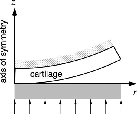 Schematic Of The Axisymmetric Finite Element Contact Analysis