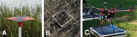 A An Example Of Our Elevated Ground Control Points Gcps Placed On Download Scientific