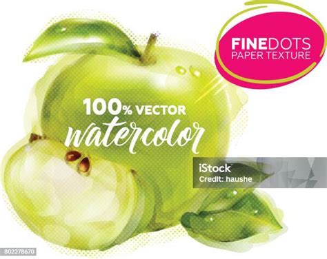 벡터 훌륭한 점 종이 텍스처와 수채화 녹색 사과 손으로 그린 그림 사과에 대한 스톡 벡터 아트 및 기타 이미지 사과 녹색 0명 Istock