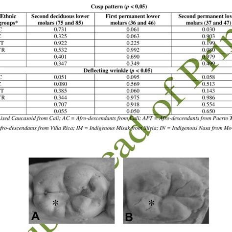 Variations In Cusp Pattern And Deflecting Wrinkle Of The First Download Scientific Diagram