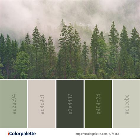 Color Palette Theme Related To Cloud Ecosystem Forest Image Mist