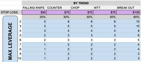 Leverage Matrix Micros Trader
