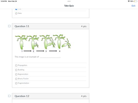 304 Pm Mon Feb 24 〇 16 Take Quiz Exit False Question 11 4 Pts This I