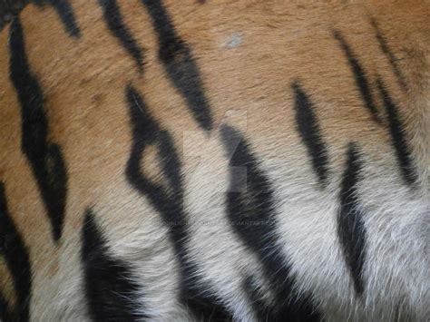 Tigger Pattern By Moonlightdeviantart On Deviantart