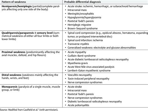 Clinical Localization Of Weakness Based On Pattern Of Weakness Download Scientific Diagram