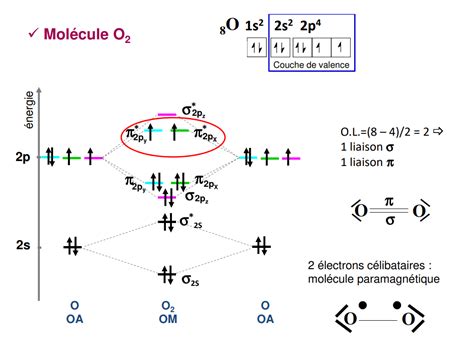 Lcao Ue1 Chimie Tutorat Associatif Toulousain