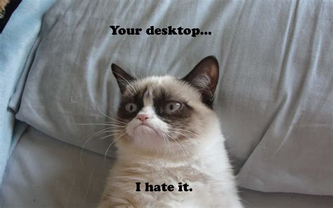 100 Grumpy Cat Wallpapers
