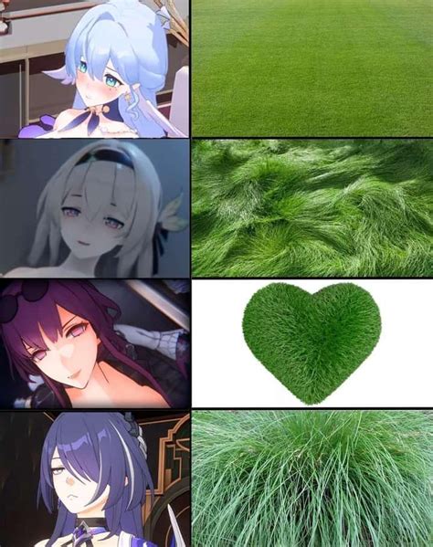 You Need To Touch Some Grass R Okbuddytrailblazer