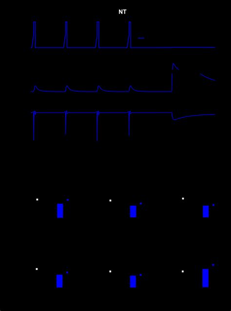 2 Validation Of Computational Models A Simulated Voltage Clamp