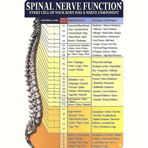 The Spiral Neve Function Chart Is Shown In This Image With Instructions For How To Use It