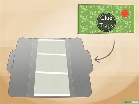 What To Do If You See A Cockroach Treatment And Prevention