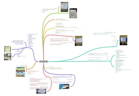 Ecosystem Coggle Diagram