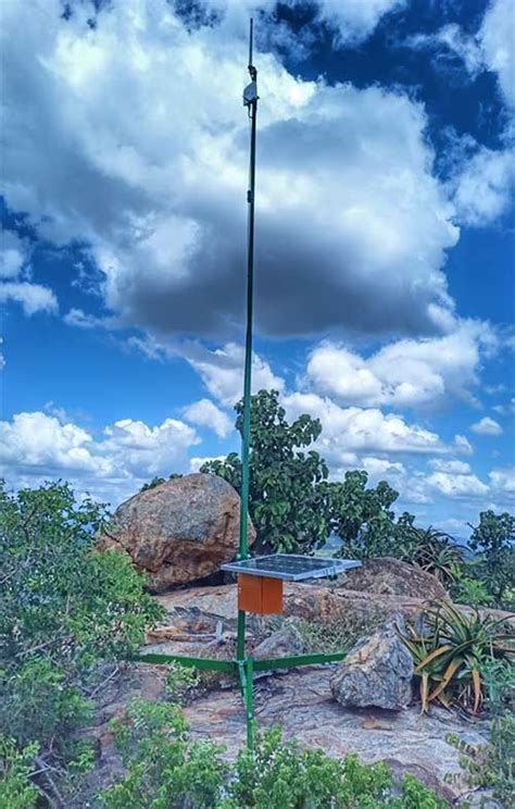 Infrastructure Support Contemplate Wild