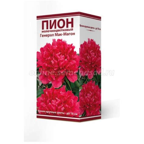 Пион ГЕНЕРАЛ МАК МАГОН Агрофирма Поиск в Санкт-Петербурге
