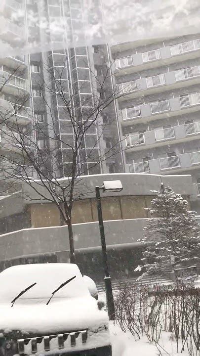 ශීත ඍතුව Winter Youtube