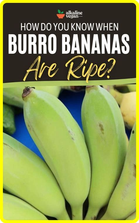 The Million Dollar Question Which Banana Is The Best For Your Health