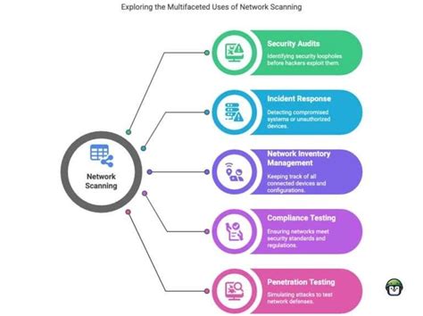 Network Scanning Tools Compared The Best Solutions For Every Job