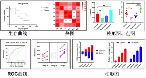 宝藏级资源！graphpad、origin等各种作图万能模板，输入数据，直接出图！ 哔哩哔哩